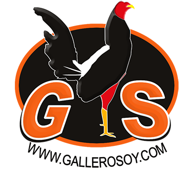 gallero soy